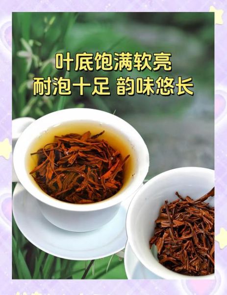 正山小种多少钱一斤_正山小种价格区别在哪-第1张图片-山城妙识 正山小种多少钱一斤_正山小种价格区别在哪-第1张图片-山城妙识