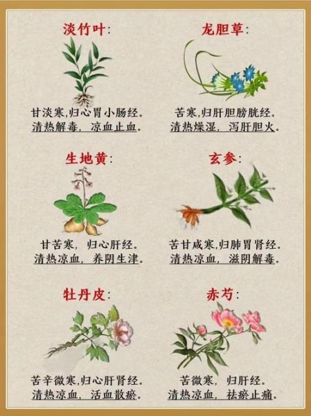 本草纲目丰胸配方真的有用吗_中药丰胸多久见效-第3张图片-山城妙识 本草纲目丰胸配方真的有用吗_中药丰胸多久见效-第3张图片-山城妙识