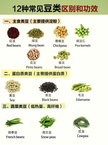 豆类大全名称有哪些_常见豆类品种怎么区分-第2张图片-山城妙识 豆类大全名称有哪些_常见豆类品种怎么区分-第2张图片-山城妙识