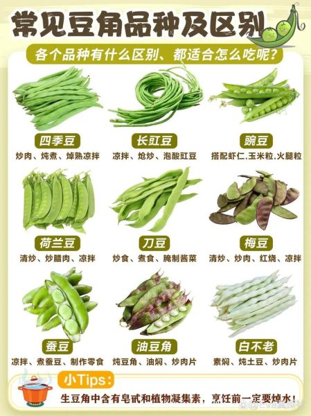 豆类大全名称有哪些_常见豆类品种怎么区分-第1张图片-山城妙识 豆类大全名称有哪些_常见豆类品种怎么区分-第1张图片-山城妙识