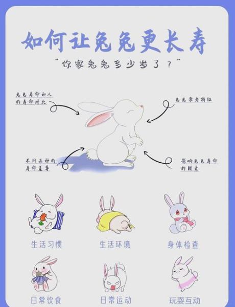 忌廉兔怎么养_忌廉兔寿命有多长-第1张图片-山城妙识 忌廉兔怎么养_忌廉兔寿命有多长-第1张图片-山城妙识