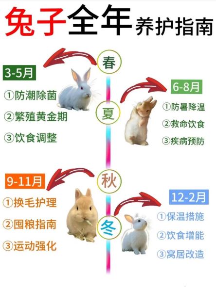 忌廉兔怎么养_忌廉兔寿命有多长-第3张图片-山城妙识 忌廉兔怎么养_忌廉兔寿命有多长-第3张图片-山城妙识