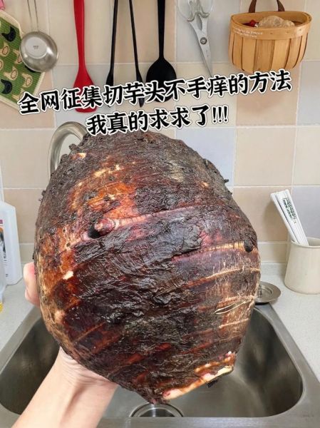 芋艿头怎么做好吃_芋艿头去皮手痒怎么办-第2张图片-山城妙识 芋艿头怎么做好吃_芋艿头去皮手痒怎么办-第2张图片-山城妙识