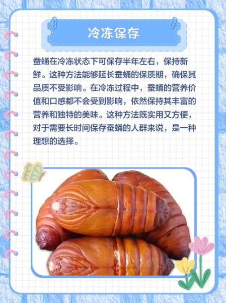 蚕蛹怎么保存才能放久_蚕蛹冷冻还是冷藏-第2张图片-山城妙识 蚕蛹怎么保存才能放久_蚕蛹冷冻还是冷藏-第2张图片-山城妙识