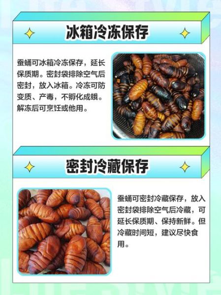 蚕蛹怎么保存才能放久_蚕蛹冷冻还是冷藏-第1张图片-山城妙识 蚕蛹怎么保存才能放久_蚕蛹冷冻还是冷藏-第1张图片-山城妙识