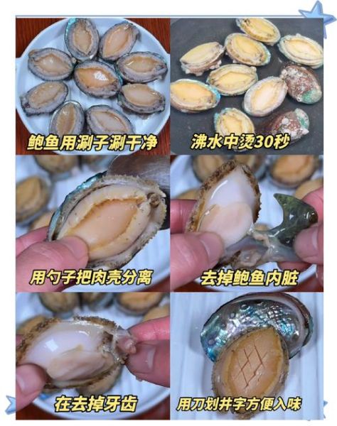 鲍鱼蒸多久才能熟_鲍鱼蒸几分钟口感最佳-第3张图片-山城妙识 鲍鱼蒸多久才能熟_鲍鱼蒸几分钟口感最佳-第3张图片-山城妙识