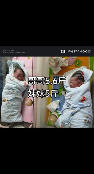 万圣节出生的人叫天胎_天胎命运如何-第2张图片-山城妙识 万圣节出生的人叫天胎_天胎命运如何-第2张图片-山城妙识