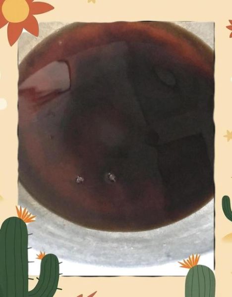 香辣泡鸡脚怎么做_泡鸡脚要泡多久才入味-第2张图片-山城妙识 香辣泡鸡脚怎么做_泡鸡脚要泡多久才入味-第2张图片-山城妙识