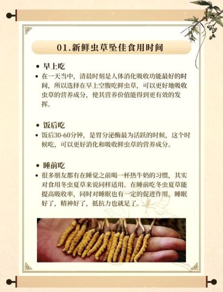 虫草怎么吃效果最好_虫草有什么功效-第1张图片-山城妙识 虫草怎么吃效果最好_虫草有什么功效-第1张图片-山城妙识