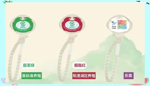 阳澄湖大闸蟹官网正品购买_如何辨别真假-第3张图片-山城妙识 阳澄湖大闸蟹官网正品购买_如何辨别真假-第3张图片-山城妙识