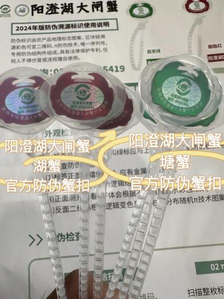 阳澄湖大闸蟹官网正品购买_如何辨别真假-第1张图片-山城妙识 阳澄湖大闸蟹官网正品购买_如何辨别真假-第1张图片-山城妙识