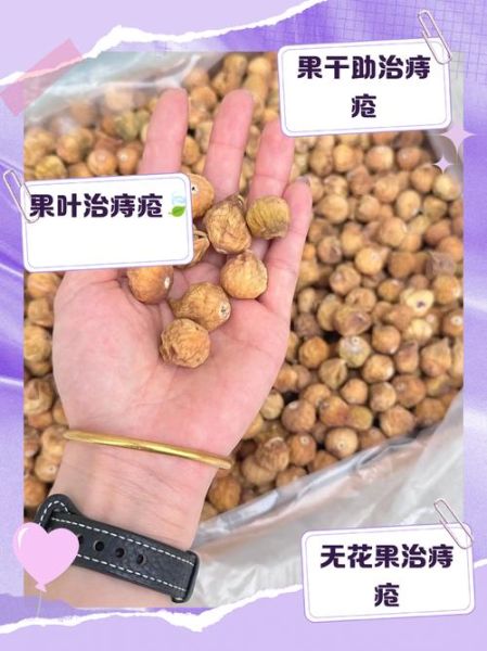 痔疮最怕无花果是真的吗_无花果治痔疮怎么吃-第1张图片-山城妙识 痔疮最怕无花果是真的吗_无花果治痔疮怎么吃-第1张图片-山城妙识