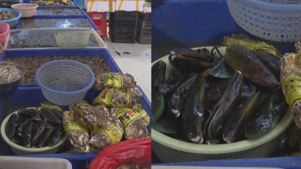 淡菜中毒症状_如何预防淡菜中毒-第2张图片-山城妙识 淡菜中毒症状_如何预防淡菜中毒-第2张图片-山城妙识