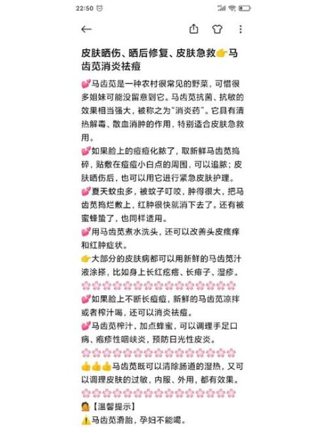 马齿苋治痘痘有效吗_马齿苋怎么用祛痘-第1张图片-山城妙识 马齿苋治痘痘有效吗_马齿苋怎么用祛痘-第1张图片-山城妙识