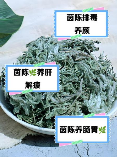 茵陈蒿汤的功效与作用_茵陈蒿汤适合什么人喝-第2张图片-山城妙识 茵陈蒿汤的功效与作用_茵陈蒿汤适合什么人喝-第2张图片-山城妙识