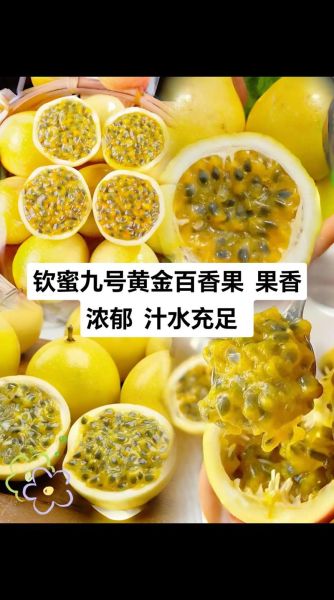 黄金百香果的功效与作用_黄金百香果怎么吃最营养-第2张图片-山城妙识 黄金百香果的功效与作用_黄金百香果怎么吃最营养-第2张图片-山城妙识