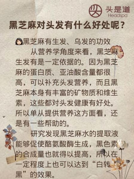黑芝麻的功效与作用_女人吃黑芝麻有什么好处-第2张图片-山城妙识 黑芝麻的功效与作用_女人吃黑芝麻有什么好处-第2张图片-山城妙识