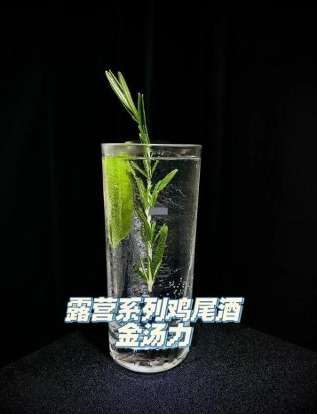 金汤力鸡尾酒配方_比例怎么调-第1张图片-山城妙识 金汤力鸡尾酒配方_比例怎么调-第1张图片-山城妙识