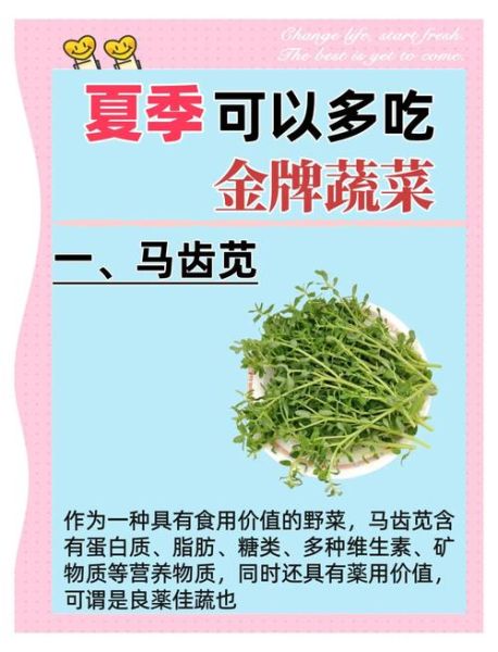 夏天吃什么蔬菜好_夏季蔬菜有哪些-第1张图片-山城妙识 夏天吃什么蔬菜好_夏季蔬菜有哪些-第1张图片-山城妙识