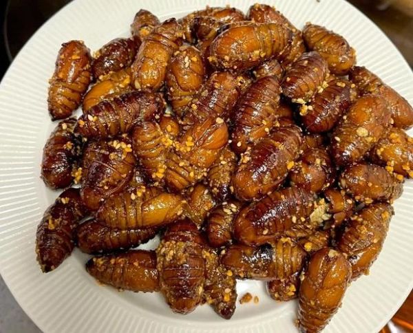 干煸蚕蛹用什么淀粉_玉米淀粉还是土豆淀粉-第3张图片-山城妙识 干煸蚕蛹用什么淀粉_玉米淀粉还是土豆淀粉-第3张图片-山城妙识