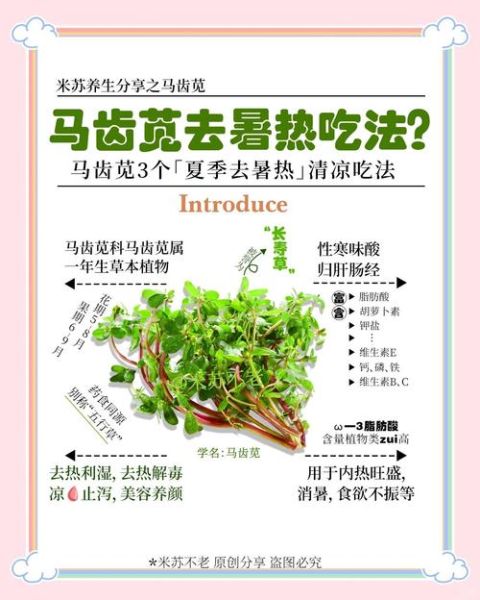 马苋菜的做法大全_马苋菜的功效与作用窍门-第3张图片-山城妙识 马苋菜的做法大全_马苋菜的功效与作用窍门-第3张图片-山城妙识