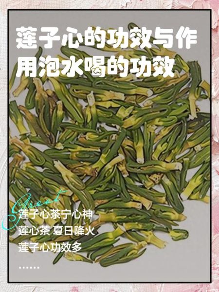 莲子心怎么吃最好_莲子心泡水喝的正确方法-第1张图片-山城妙识 莲子心怎么吃最好_莲子心泡水喝的正确方法-第1张图片-山城妙识