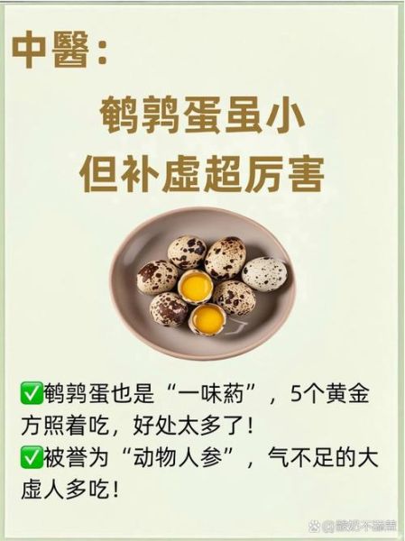 鹌鹑蛋营养价值高吗_鹌鹑蛋一天吃几个最好-第2张图片-山城妙识 鹌鹑蛋营养价值高吗_鹌鹑蛋一天吃几个最好-第2张图片-山城妙识