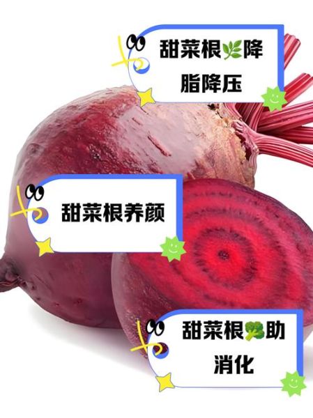 红甜菜根的功效与作用_红甜菜根怎么吃最营养-第2张图片-山城妙识 红甜菜根的功效与作用_红甜菜根怎么吃最营养-第2张图片-山城妙识