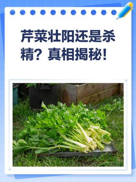 芹菜杀精是真的吗_芹菜对男性生育影响-第1张图片-山城妙识 芹菜杀精是真的吗_芹菜对男性生育影响-第1张图片-山城妙识