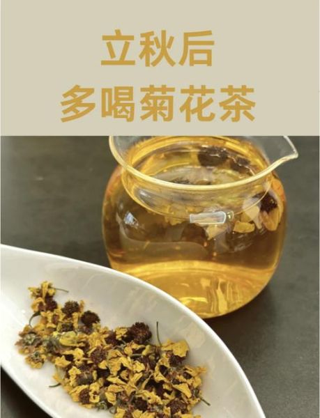 菊花茶怎么泡_菊花茶泡多久最好喝-第1张图片-山城妙识 菊花茶怎么泡_菊花茶泡多久最好喝-第1张图片-山城妙识