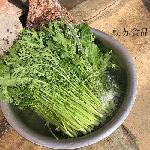 腌雪里蕻10斤菜放多少盐_雪里蕻腌制比例-第2张图片-山城妙识 腌雪里蕻10斤菜放多少盐_雪里蕻腌制比例-第2张图片-山城妙识