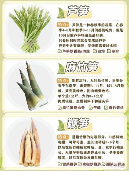 竹笋的种类有哪些_常见竹笋名称及区别-第2张图片-山城妙识 竹笋的种类有哪些_常见竹笋名称及区别-第2张图片-山城妙识