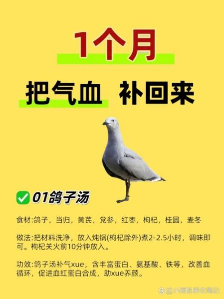 鸽子汤的营养价值与禁忌_哪些人不能吃鸽子-第2张图片-山城妙识 鸽子汤的营养价值与禁忌_哪些人不能吃鸽子-第2张图片-山城妙识