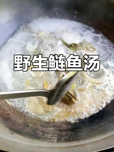 鲢鱼汤怎么做才白_鲢鱼汤去腥的窍门-第3张图片-山城妙识 鲢鱼汤怎么做才白_鲢鱼汤去腥的窍门-第3张图片-山城妙识