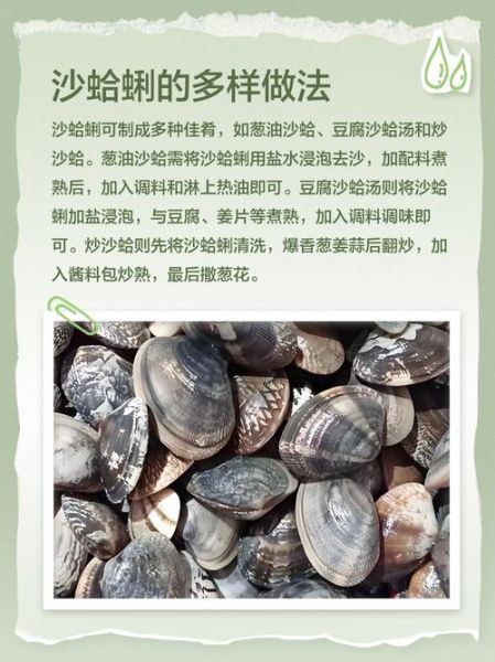 蛤喇怎么保存_蛤喇怎么吐沙干净-第3张图片-山城妙识 蛤喇怎么保存_蛤喇怎么吐沙干净-第3张图片-山城妙识