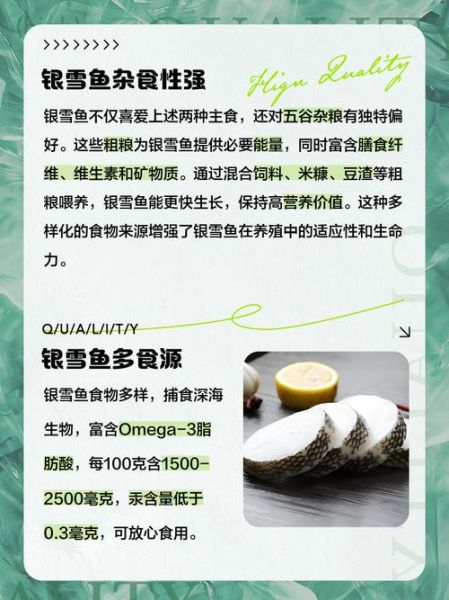 银雪鱼多少钱一斤_银雪鱼怎么做好吃-第3张图片-山城妙识 银雪鱼多少钱一斤_银雪鱼怎么做好吃-第3张图片-山城妙识