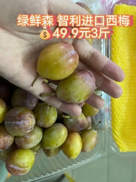 西梅图片_西梅怎么挑选-第1张图片-山城妙识 西梅图片_西梅怎么挑选-第1张图片-山城妙识