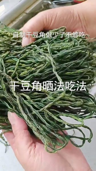 豆角网最新电视剧有哪些_豆角网电视剧更新时间表-第1张图片-山城妙识 豆角网最新电视剧有哪些_豆角网电视剧更新时间表-第1张图片-山城妙识