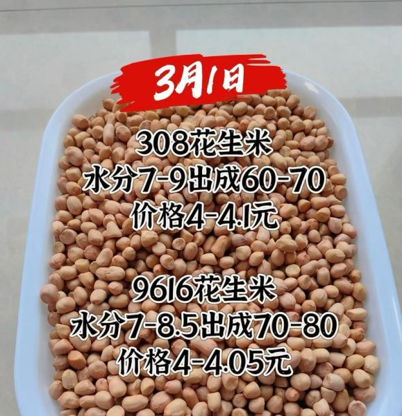 全国最大花生批发市场在哪_进货价格是多少-第1张图片-山城妙识 全国最大花生批发市场在哪_进货价格是多少-第1张图片-山城妙识