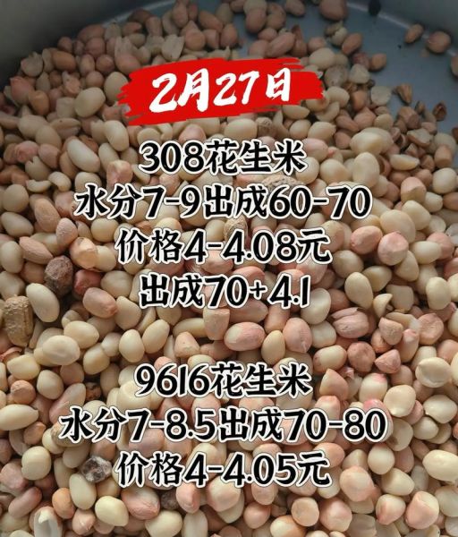 全国最大花生批发市场在哪_进货价格是多少-第2张图片-山城妙识 全国最大花生批发市场在哪_进货价格是多少-第2张图片-山城妙识