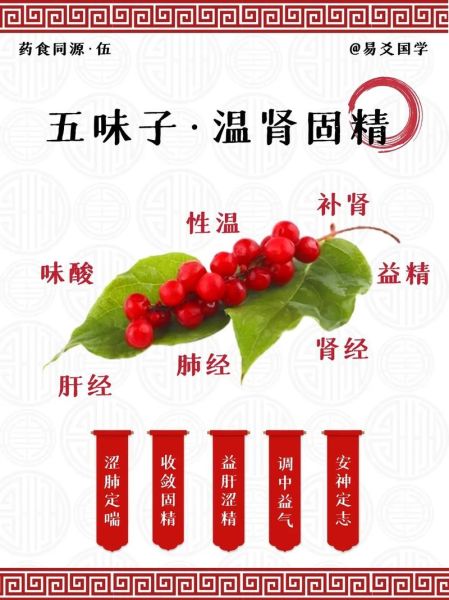五味子泡水喝的功效与禁忌_五味子适合什么人吃-第1张图片-山城妙识 五味子泡水喝的功效与禁忌_五味子适合什么人吃-第1张图片-山城妙识