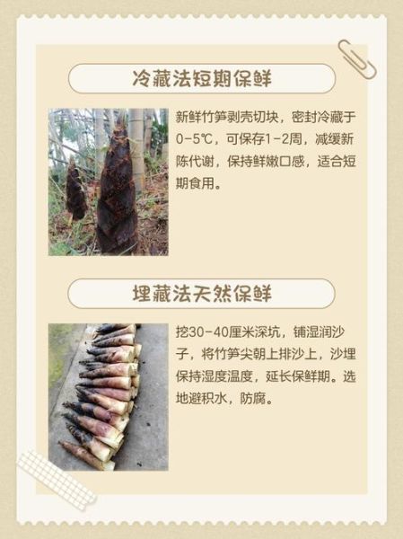 春笋怎么挑选_新鲜笋怎么保存-第2张图片-山城妙识 春笋怎么挑选_新鲜笋怎么保存-第2张图片-山城妙识
