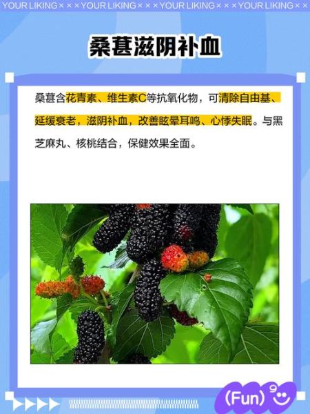 黑芝麻丸有用吗_黑芝麻丸的功效与副作用-第1张图片-山城妙识 黑芝麻丸有用吗_黑芝麻丸的功效与副作用-第1张图片-山城妙识