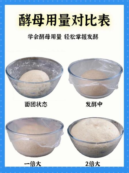酵母发面比例是多少_酵母发面多长时间-第1张图片-山城妙识 酵母发面比例是多少_酵母发面多长时间-第1张图片-山城妙识