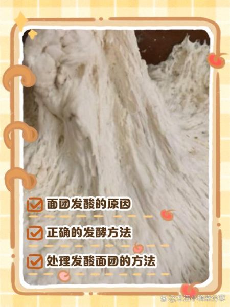 酵母发面比例是多少_酵母发面多长时间-第3张图片-山城妙识 酵母发面比例是多少_酵母发面多长时间-第3张图片-山城妙识