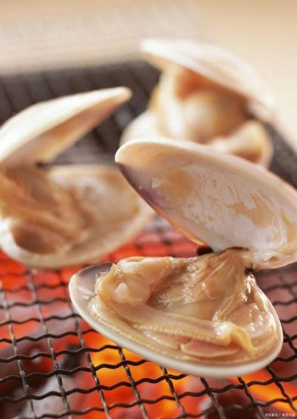 野生河蚌吃什么食物_河蚌怎么捕食-第2张图片-山城妙识 野生河蚌吃什么食物_河蚌怎么捕食-第2张图片-山城妙识