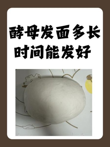 酵母发面比例是多少_酵母发面多长时间-第2张图片-山城妙识 酵母发面比例是多少_酵母发面多长时间-第2张图片-山城妙识