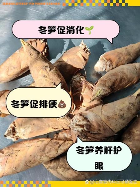冬笋的功效与作用禁忌_哪些人不能吃-第3张图片-山城妙识 冬笋的功效与作用禁忌_哪些人不能吃-第3张图片-山城妙识