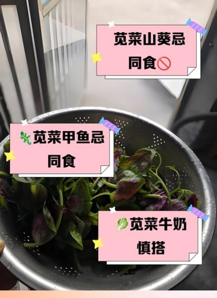通菜不能和什么一起吃_通菜相克食物有哪些-第1张图片-山城妙识 通菜不能和什么一起吃_通菜相克食物有哪些-第1张图片-山城妙识