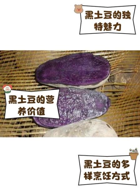 黑土豆是什么_黑土豆怎么吃-第1张图片-山城妙识 黑土豆是什么_黑土豆怎么吃-第1张图片-山城妙识